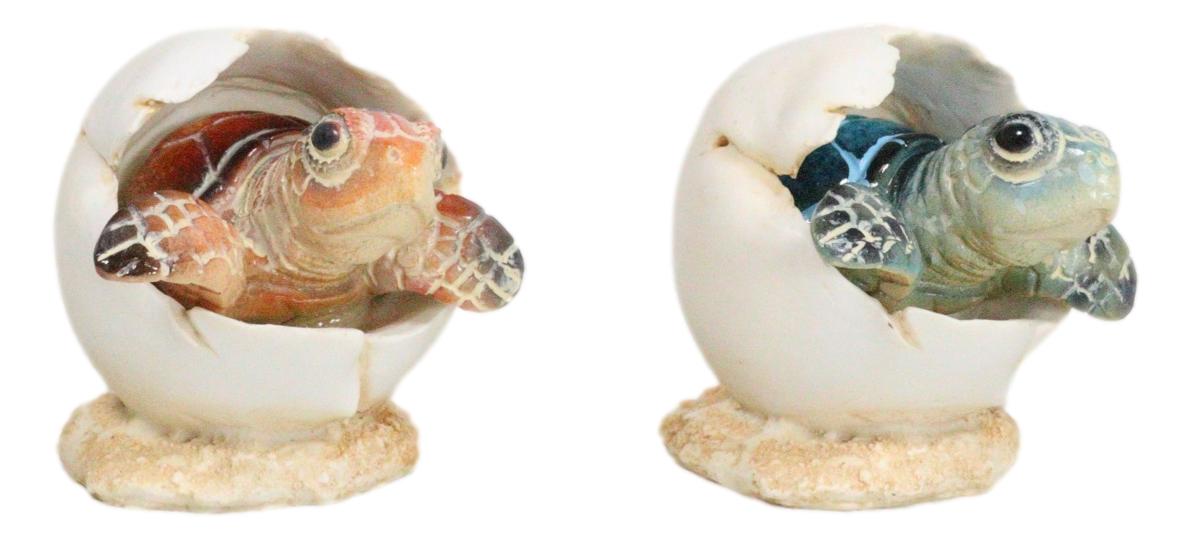 Pack Of 2 Marine Blue And Brown Sea Turtle Hatchlings In Egg Shells Fi ...