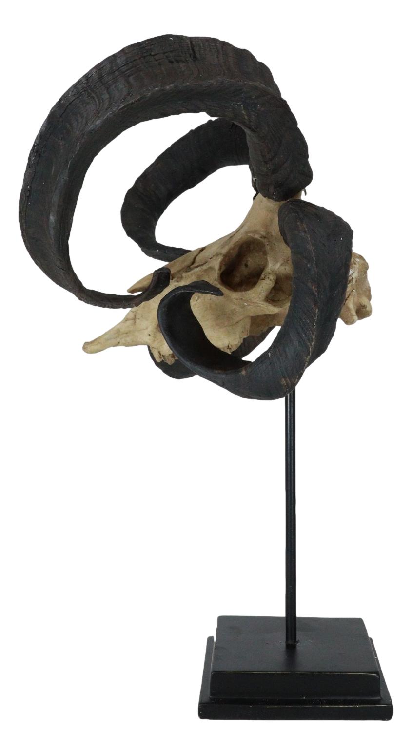 Large Alien Mutated Quad Horns Ram Skull Sculpture On Museum Base Stan ...