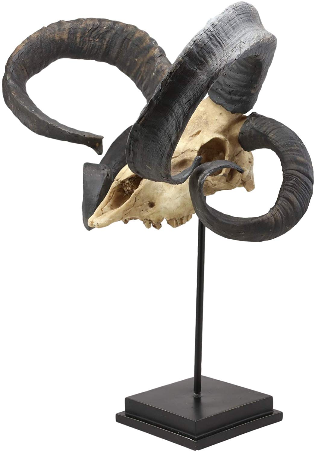 Large Alien Mutated Quad Horns Ram Skull Sculpture On Museum Base Stan ...