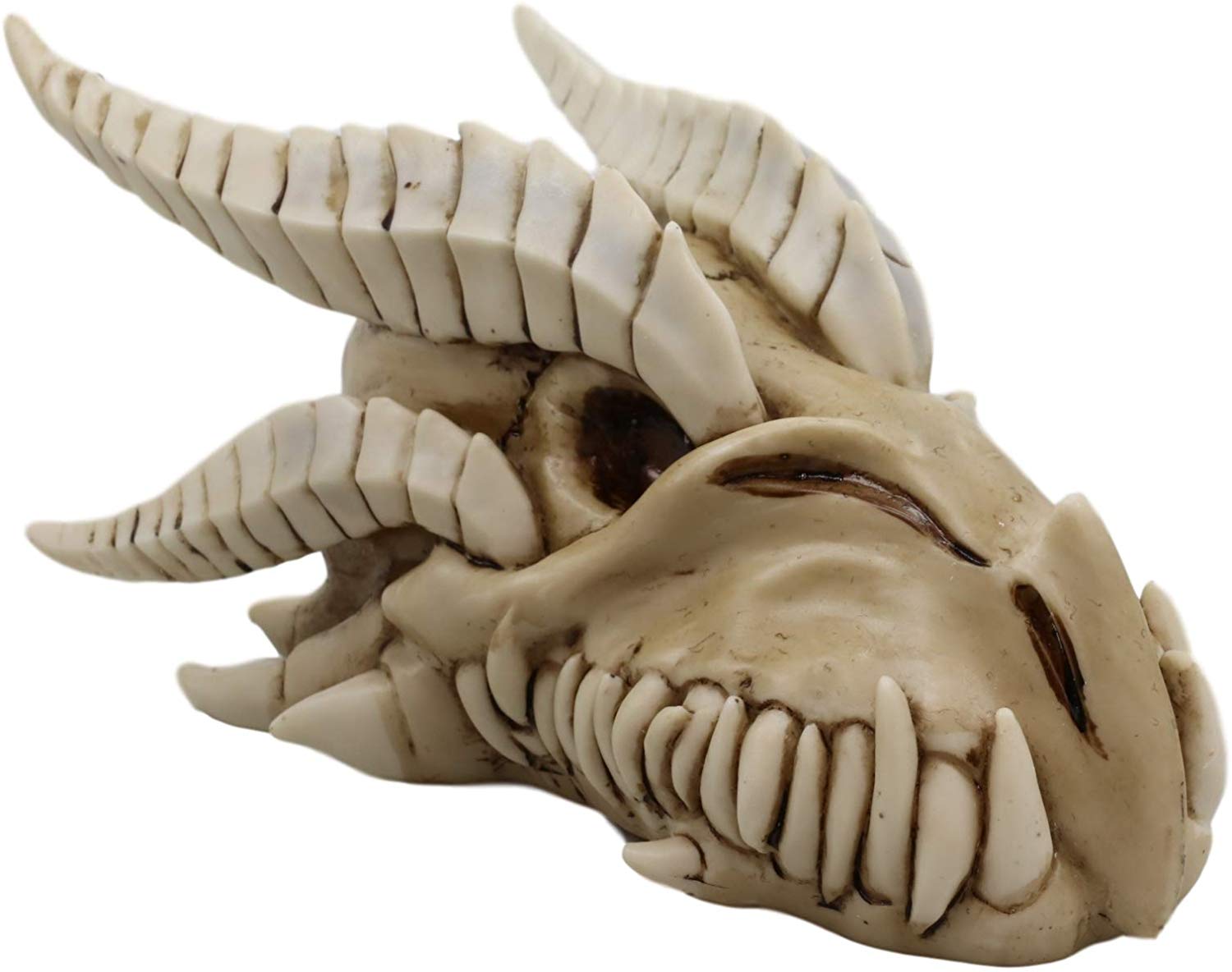 Ebros Dragon Head Skull Realistic Fossil Wall Sculpture Or Desktop Sta ...