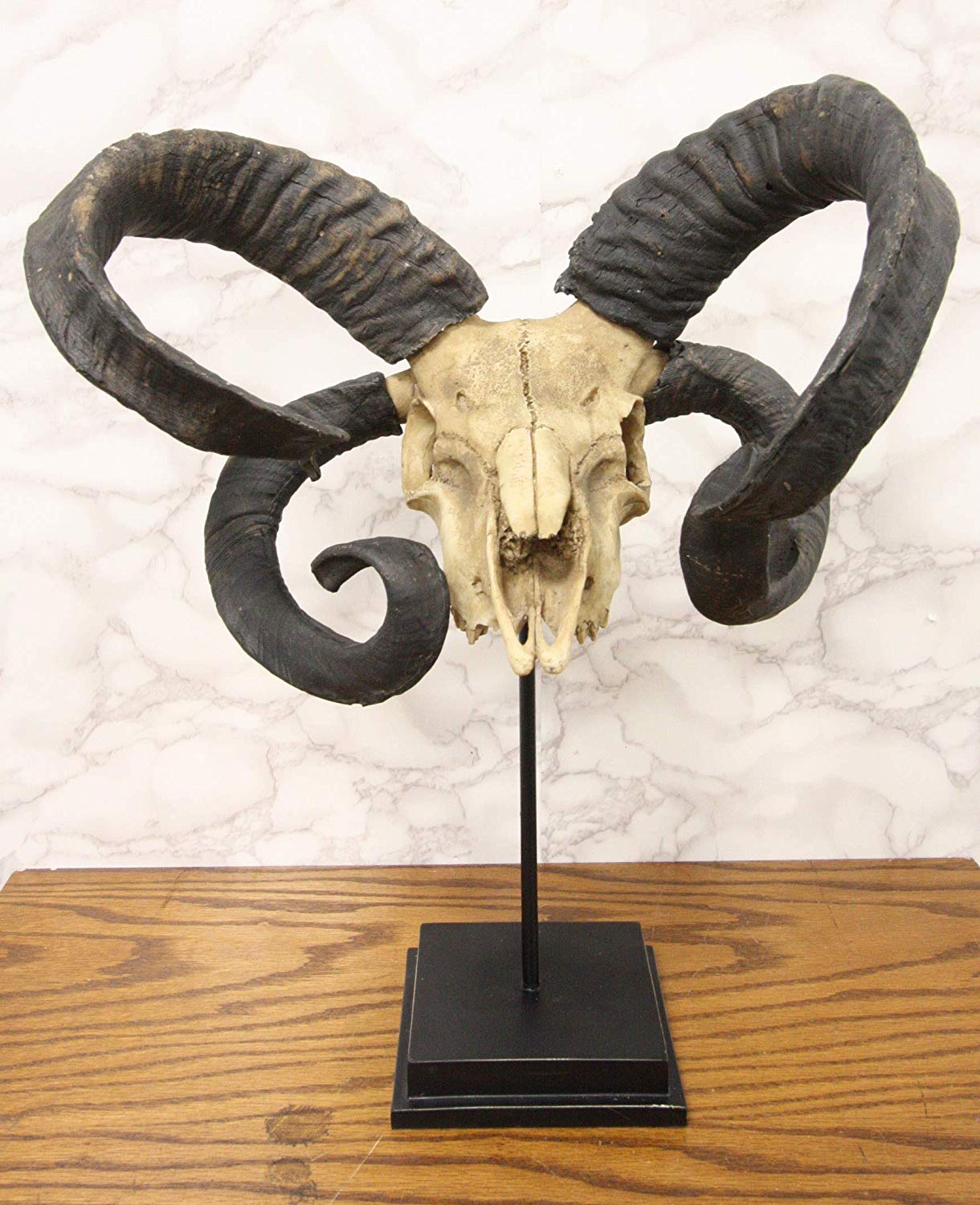 Large Alien Mutated Quad Horns Ram Skull Sculpture On Museum Base Stan ...