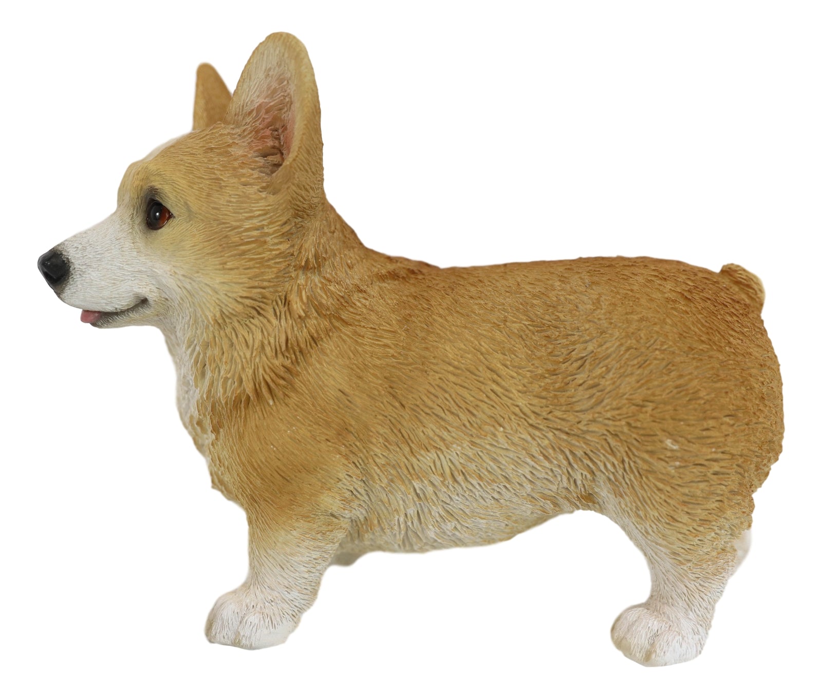 Lifelike Realistic Pembroke Welsh Corgi Puppy Dog Figurine With Glass ...