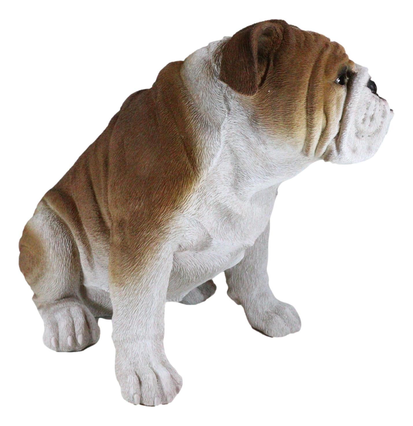 Lifelike Realistic English Bulldog Statue 14.5"Tall Fine Pedigree Dog ...