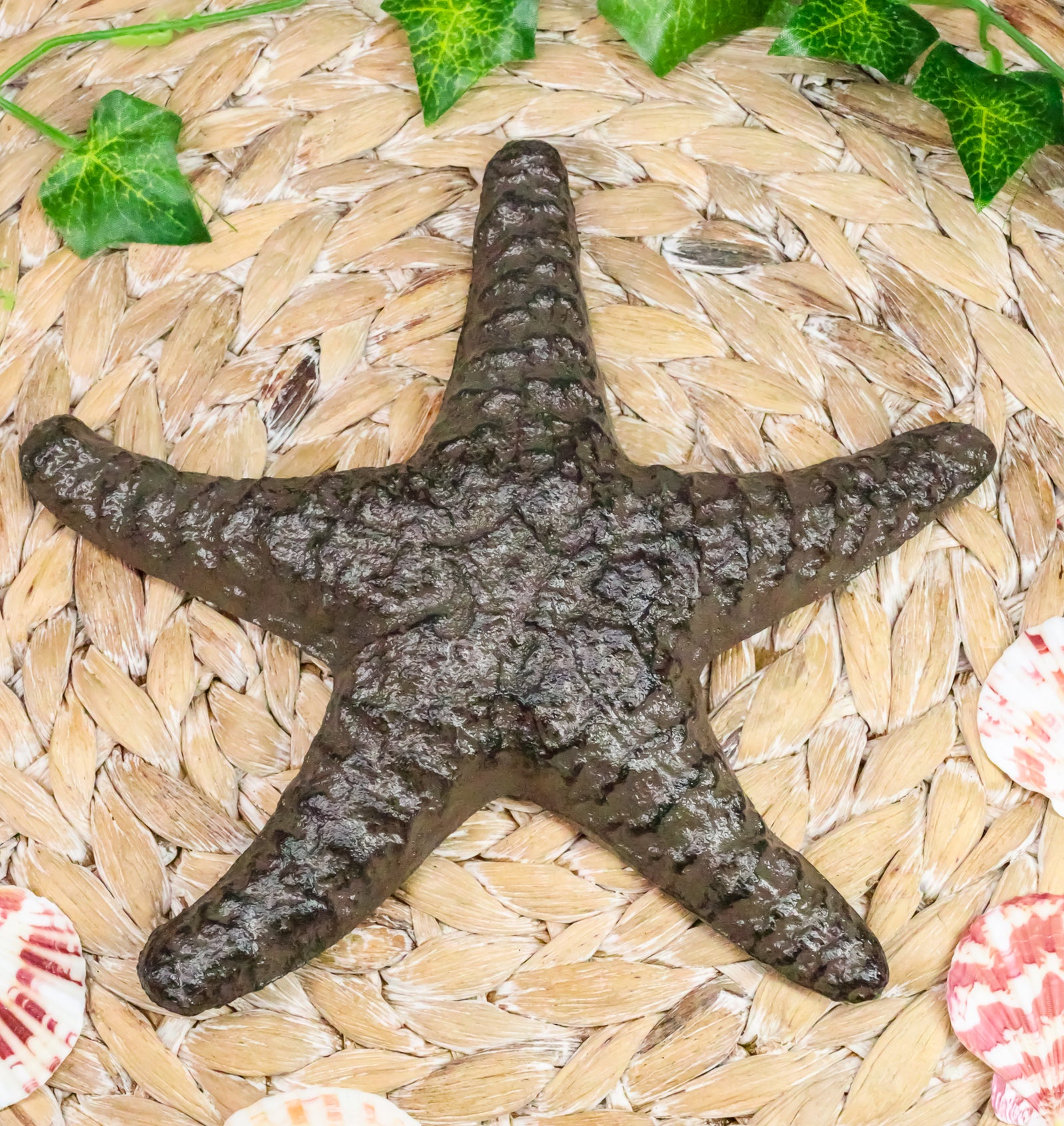 Ebros Cast Iron Sea Star Shell Starfish in Rustic Bronze Finish 7.75 ...