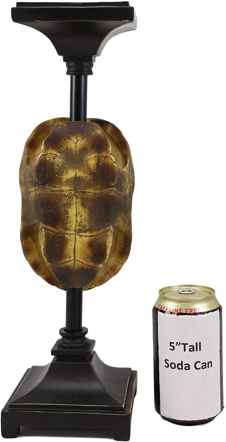 Ebros Large Nautical Reptile Tortoise Turtle Shell Pillar Candle Holde ...