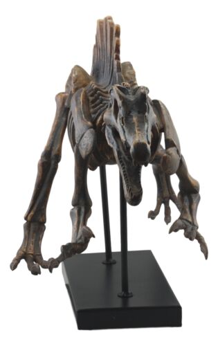 Jurassic Spinosaurus Dinosaur Fossil Skeleton Statue On Museum Mount 2 ...