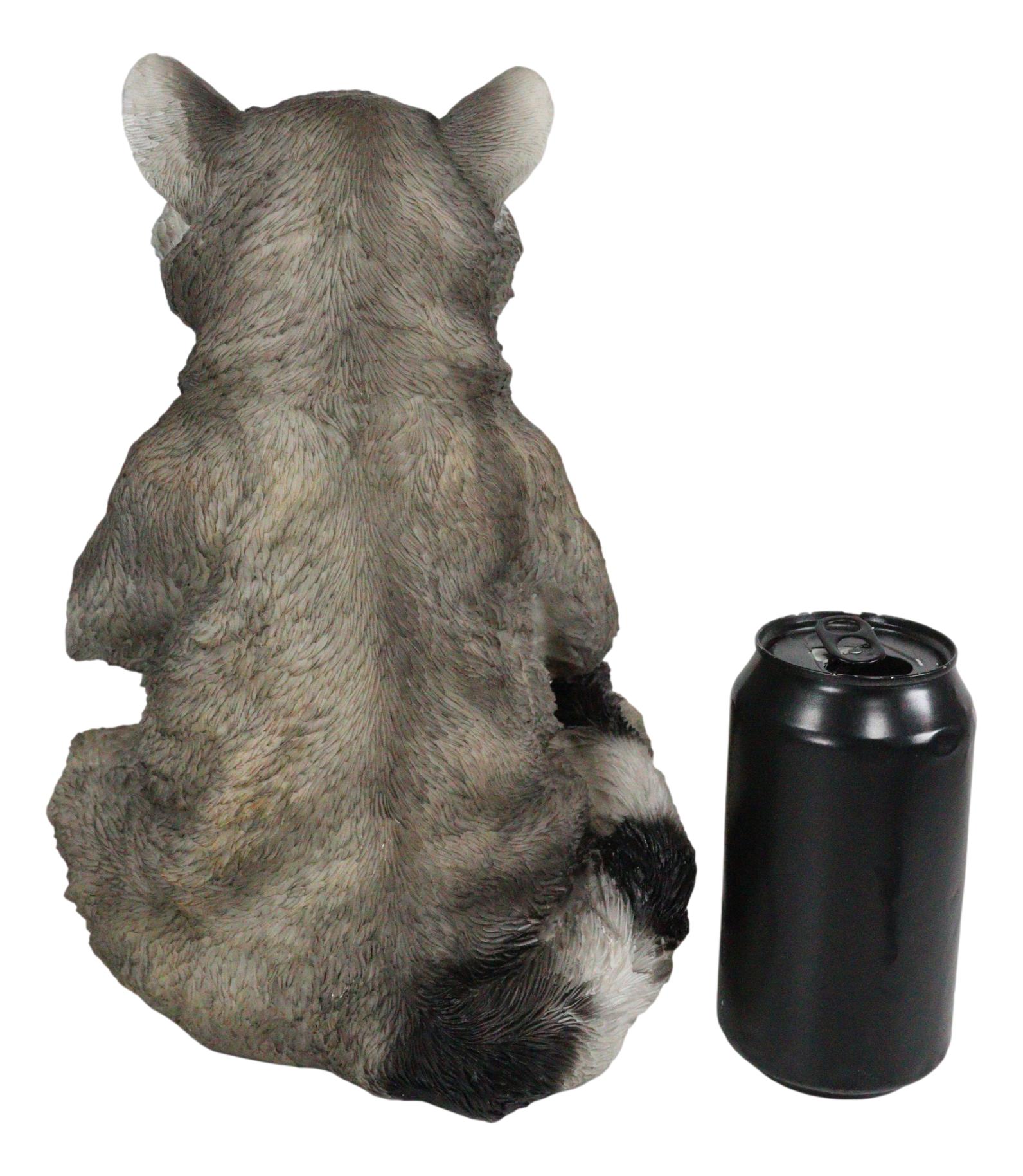 Whimsical Sitting Cheeky Raccoon With Big Belly Wild Animal Figurine 1 ...