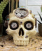 Ebros Steampunk Terminator Skull Figurine Cybernetic Clockwork And Rob ...