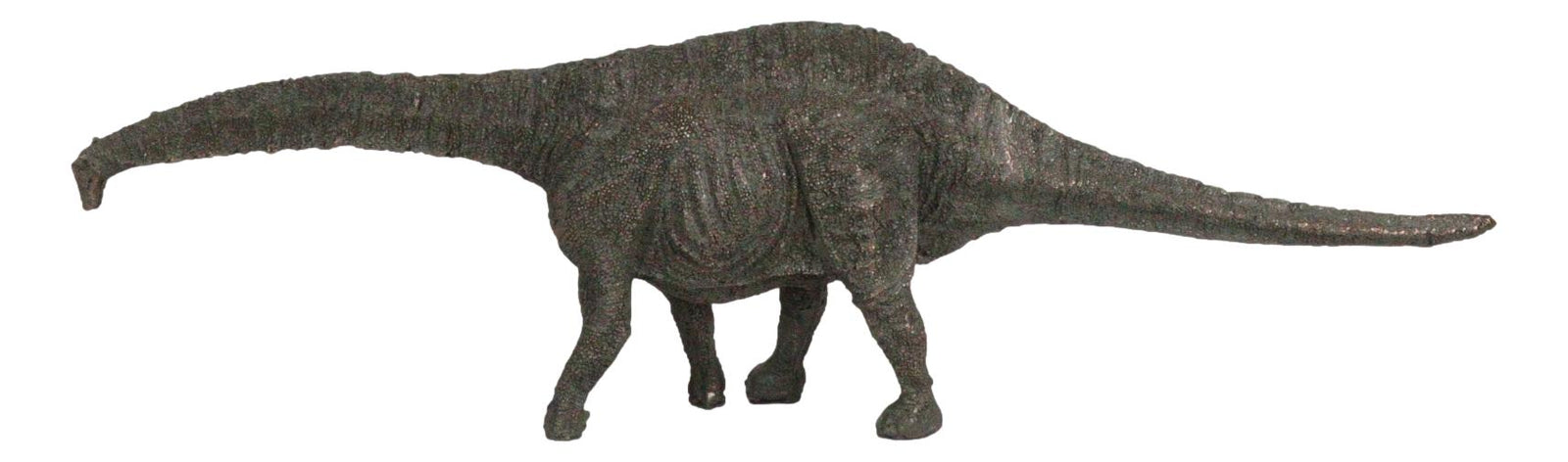 14"L Realistic Jurassic Era Sauropod Dinosaur Gigantic Brontosaurus Fi ...