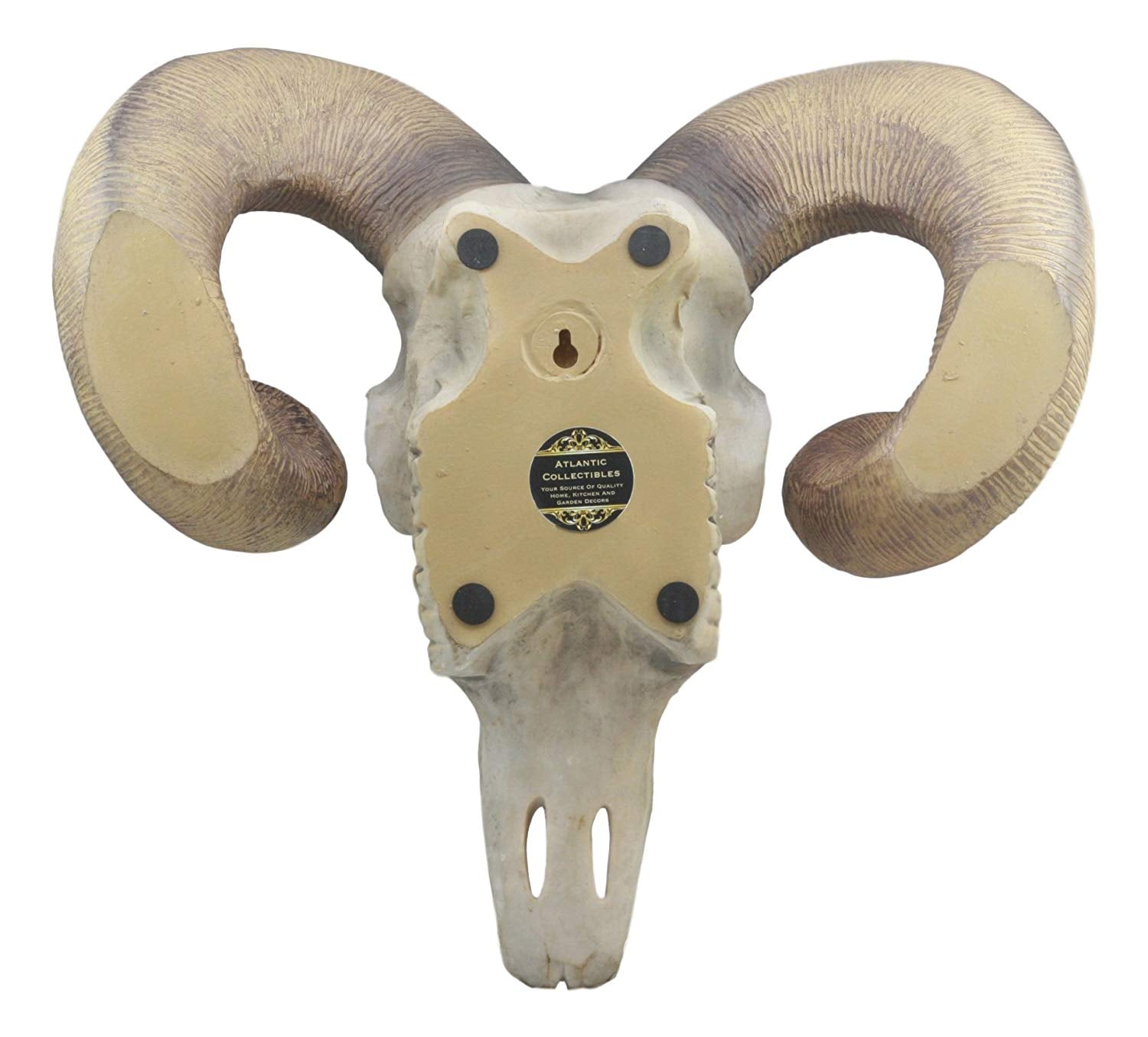Ebros Gift Large Texas Corsican Ram Skull And Horns Wall Trophy Nature ...