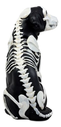 Day Of The Dead Bone Skeleton Dog Statue 7.5"H X-Ray Canine Skeleton A ...