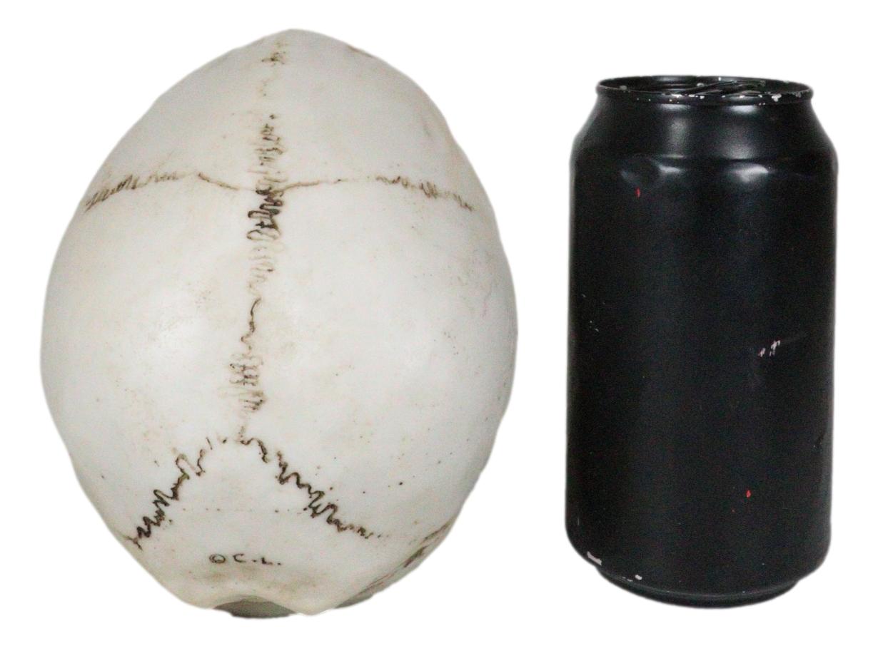 Ebros Gift Greek Primordial Giant Cyclops Skull Statue Homer’s Odyssey ...