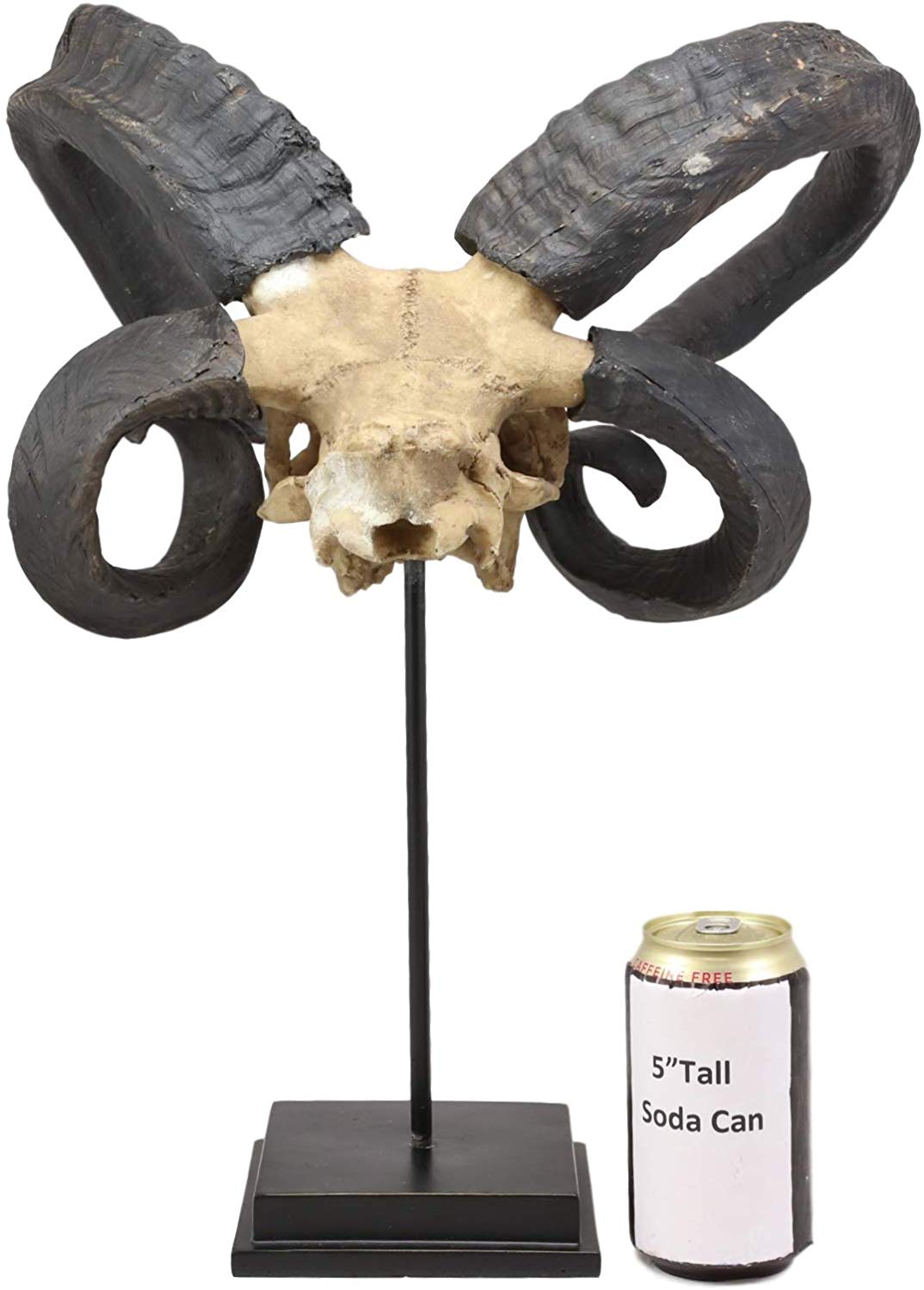 Large Alien Mutated Quad Horns Ram Skull Sculpture On Museum Base Stan ...