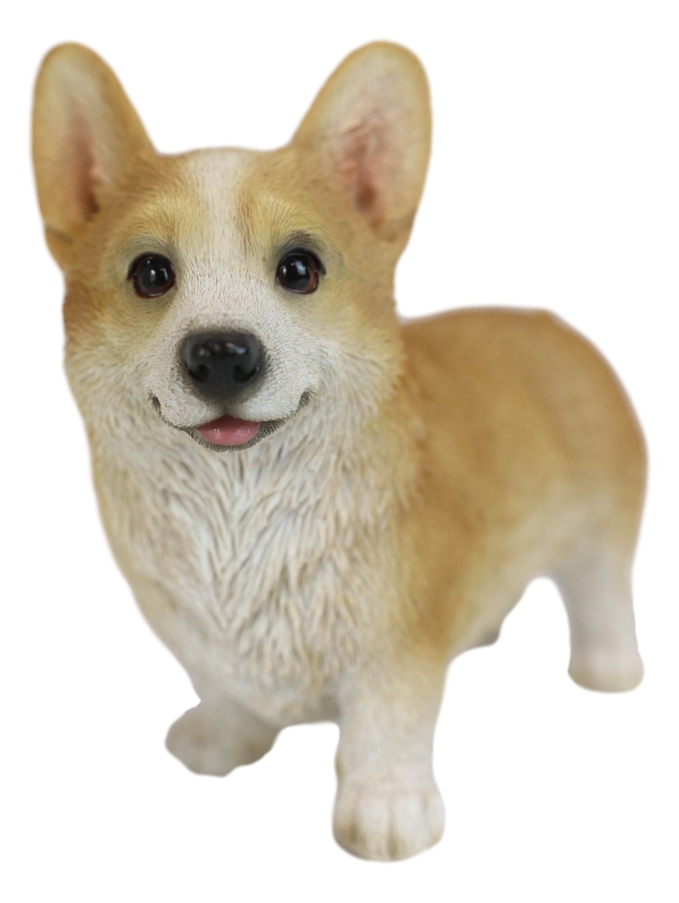 Lifelike Realistic Pembroke Welsh Corgi Puppy Dog Figurine With Glass ...