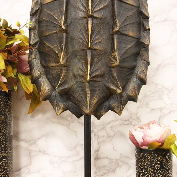 Alligator Snapping Turtle Shell
