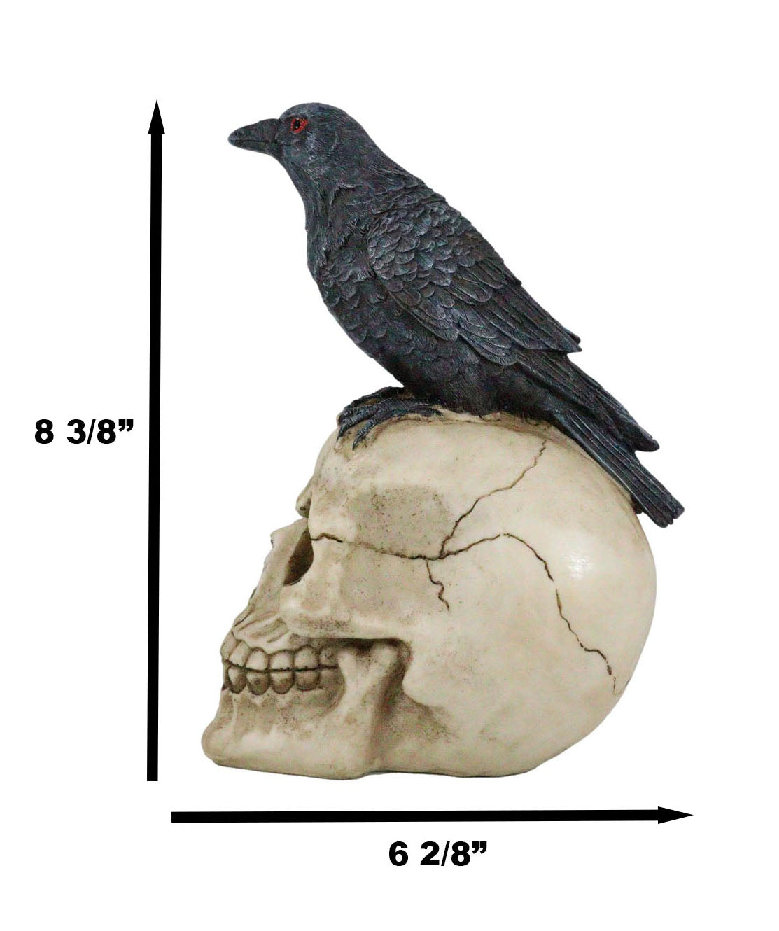 Quoth The Raven Nevermore Black Crow With Red Eyes On Macabre Skull Fi ...