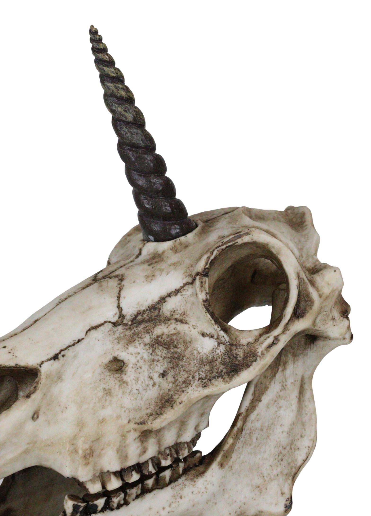 Rare Fossil Unicorn Skull With Sacred Horn Skull Figurine On Museum Po ...