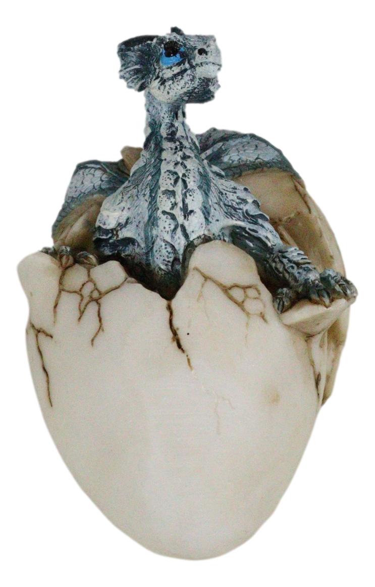 Cold Bifrost Dragon Hatchling Breaking Out Of Egg Shell Figurine Myth ...