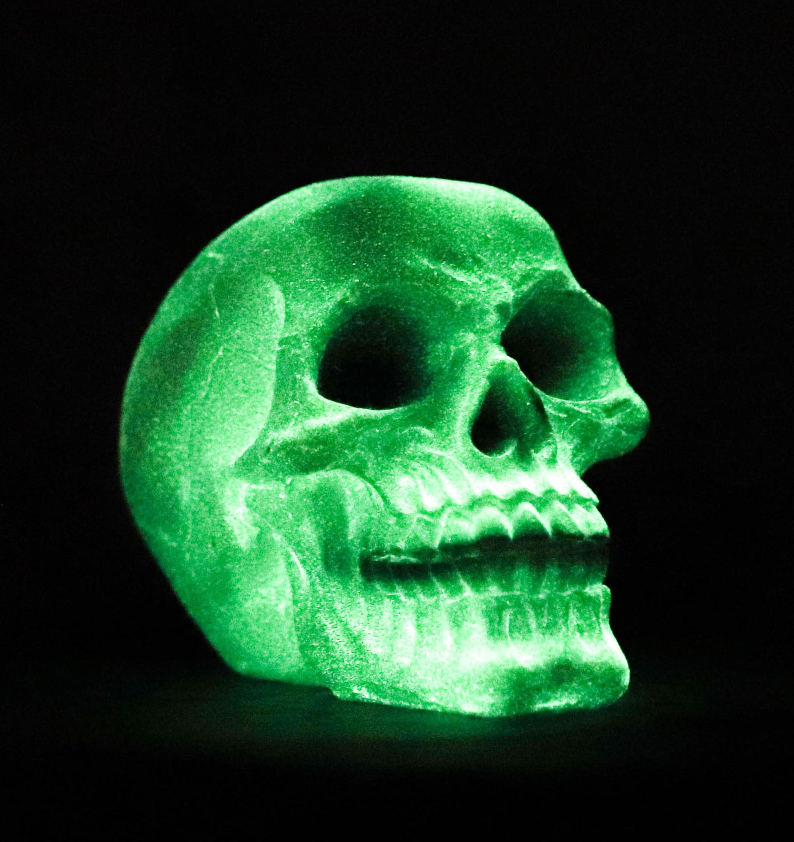 Glow In the Dark Luminescence Skull Halloween Decorative Accessory 3.7 ...
