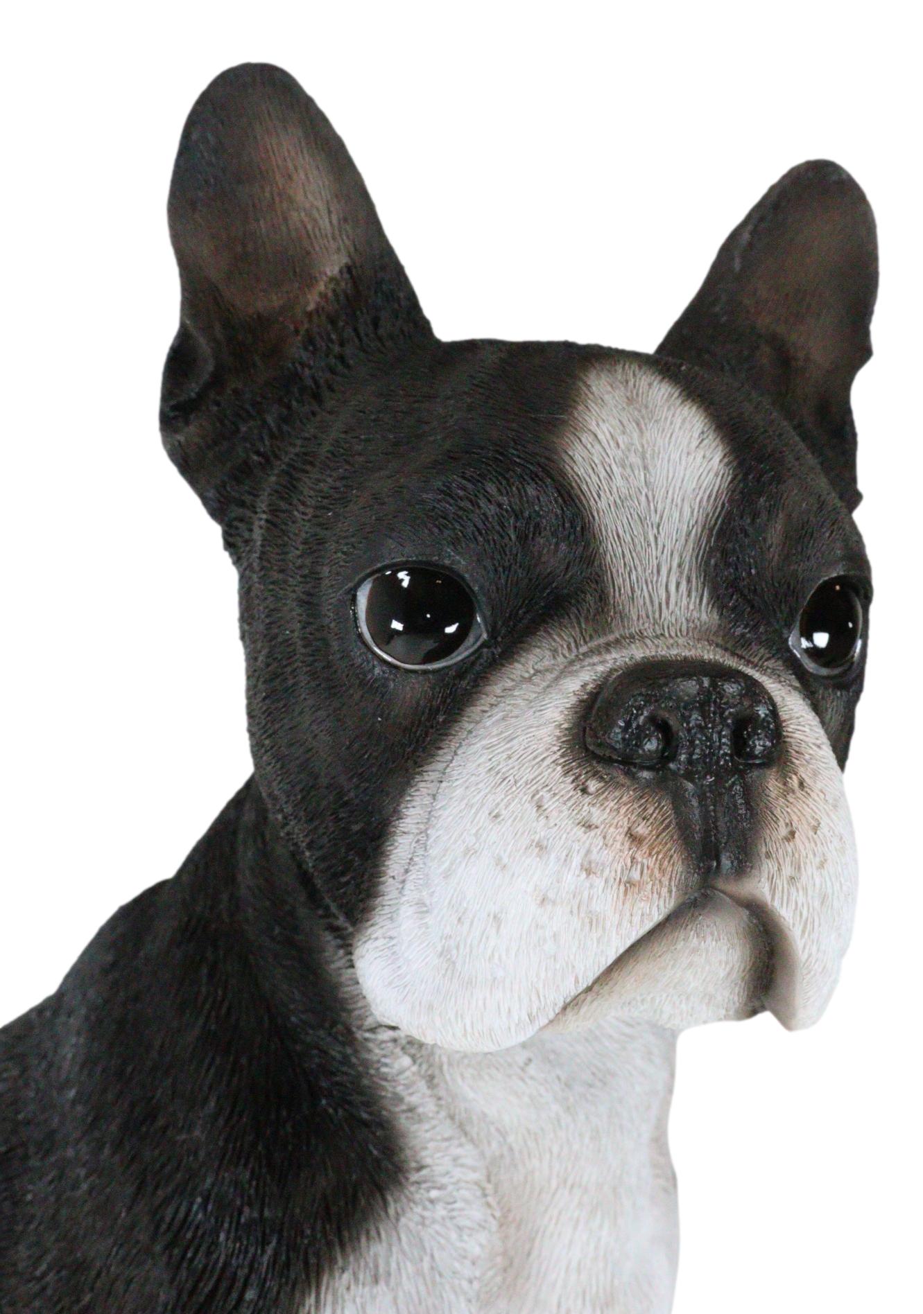 Lifelike Adorable Boston Terrier Dog Statue 16"H Pedigree Dog With Gla ...