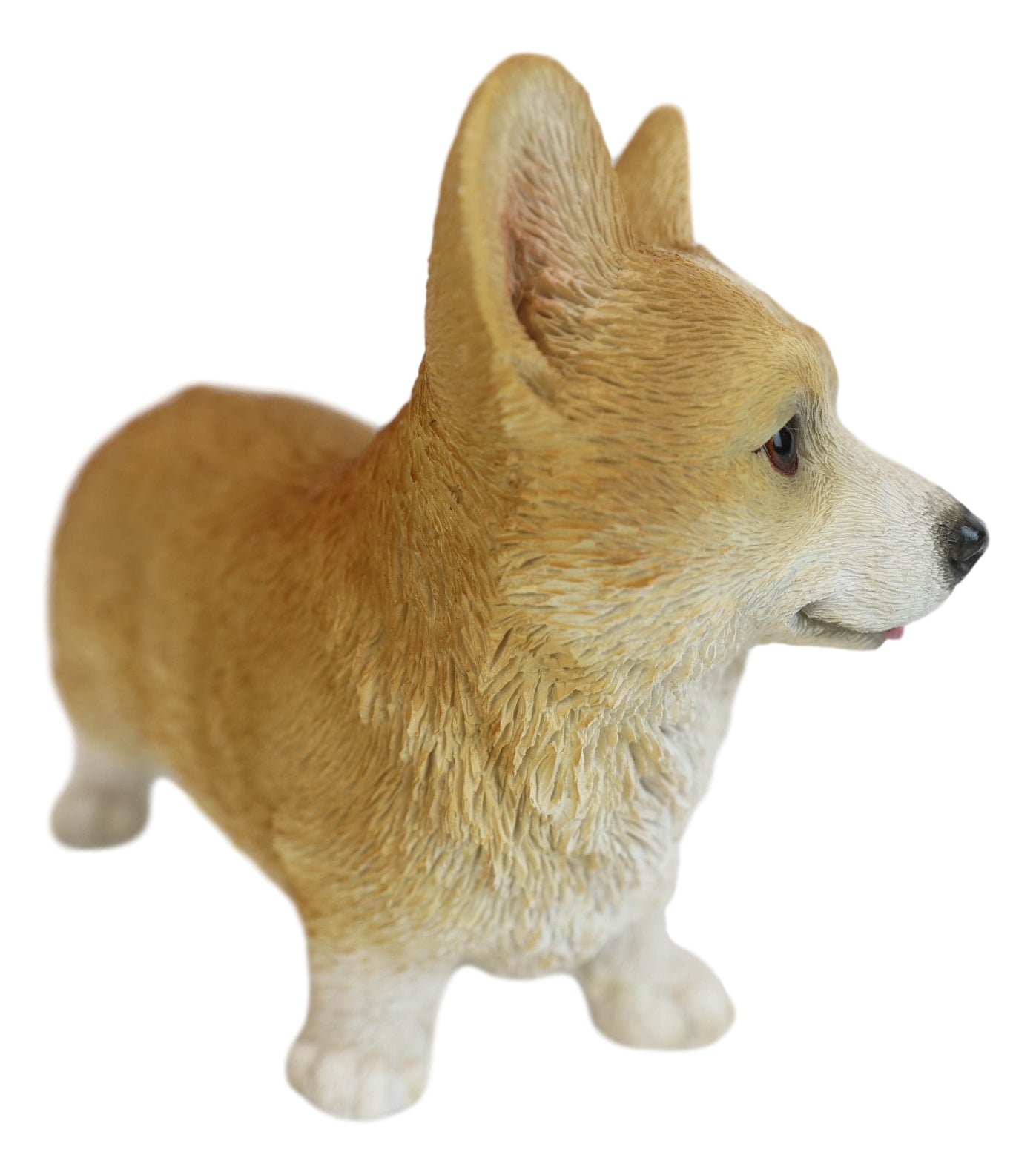 Lifelike Realistic Pembroke Welsh Corgi Puppy Dog Figurine With Glass ...