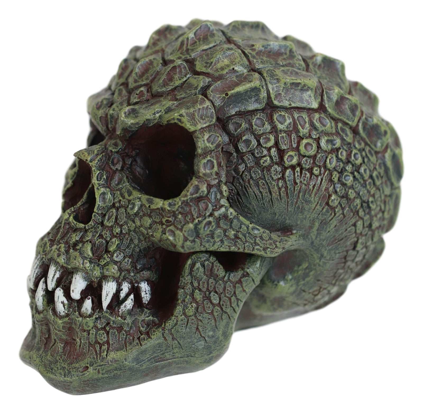 Gator Head Alligator Monster Cranium Skull With Hide Skin Look Decorat ...